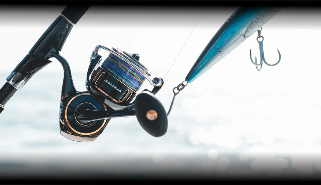 Daiwa Australia Announces NEW SALTIGA Reels Coming in 2025 – TackleWest