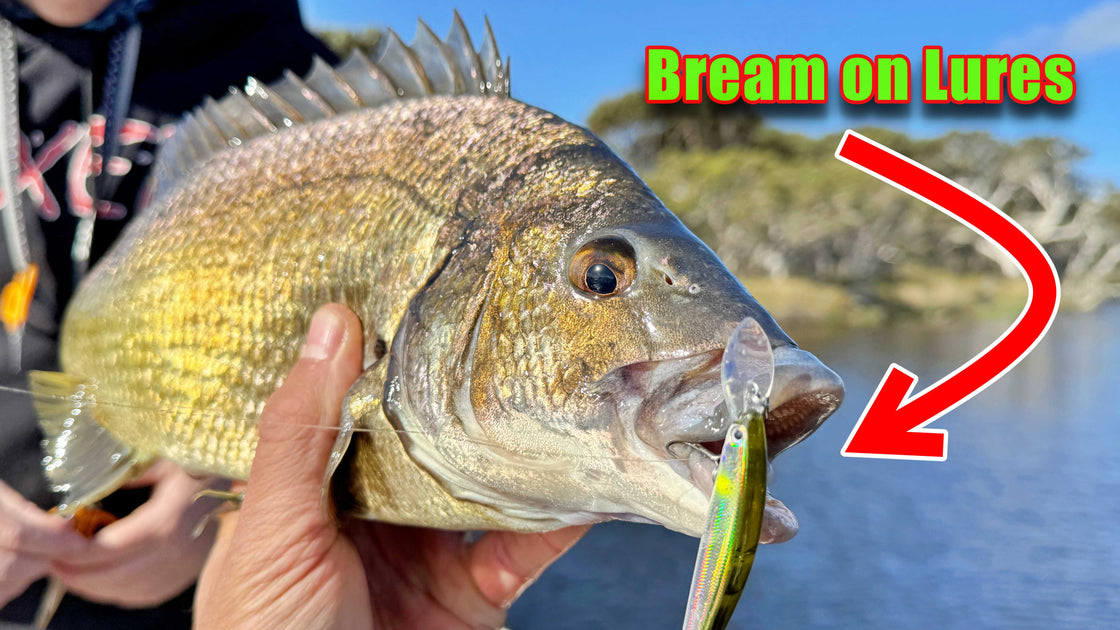 Bream on Lures Made Easy! | Part 1: Must-Have Gear to Get Started ...