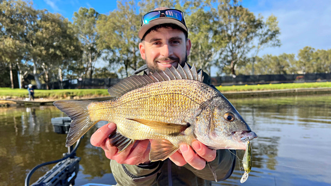 Black Bream | What to use, when to use & where to use – TackleWest