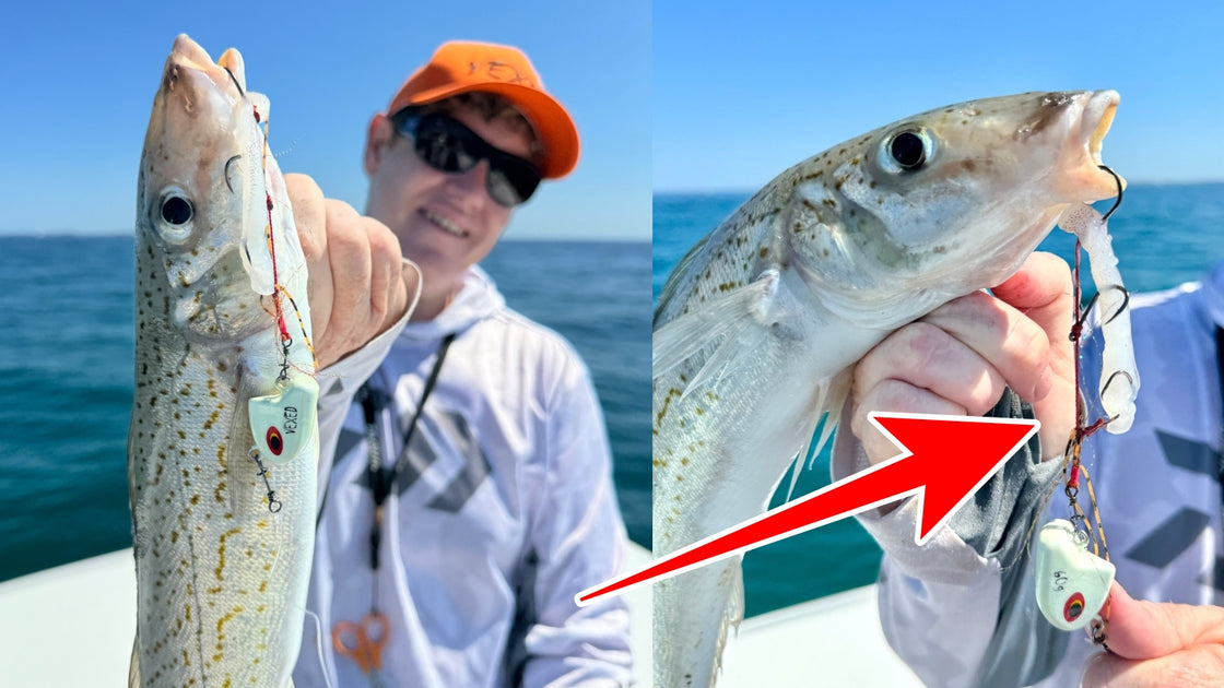 Catch and Cook KING GEORGE WHITING Fishing, Best Eating Fish! – TackleWest