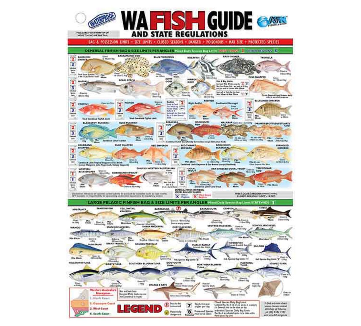 AFN Vinyl WA Fish ID Card with Regulations and Measure – TackleWest