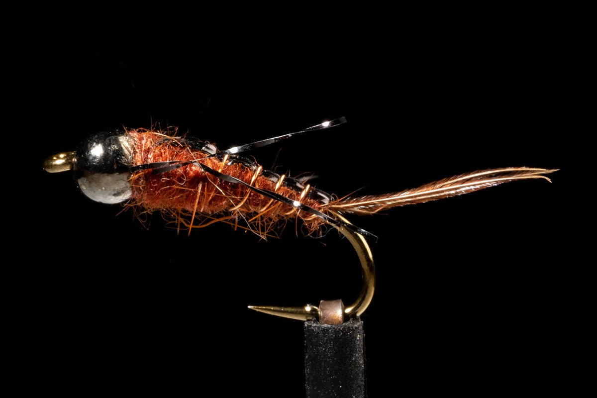 Manic Anato May Bead Head Nymph 12 – TackleWest