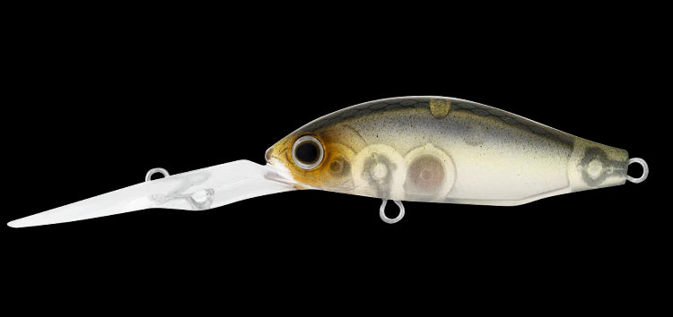 Daiwa Infeet Spike 44EXDR – TackleWest