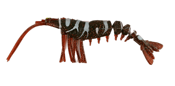 King Brown Killer Prawn – TackleWest