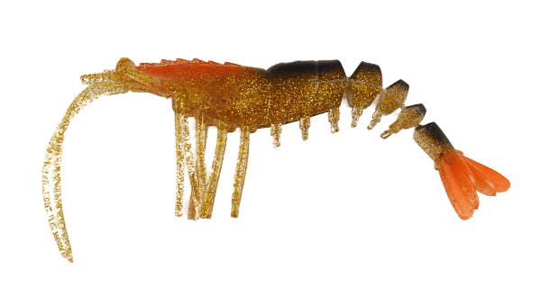 King Brown Killer Prawn – TackleWest