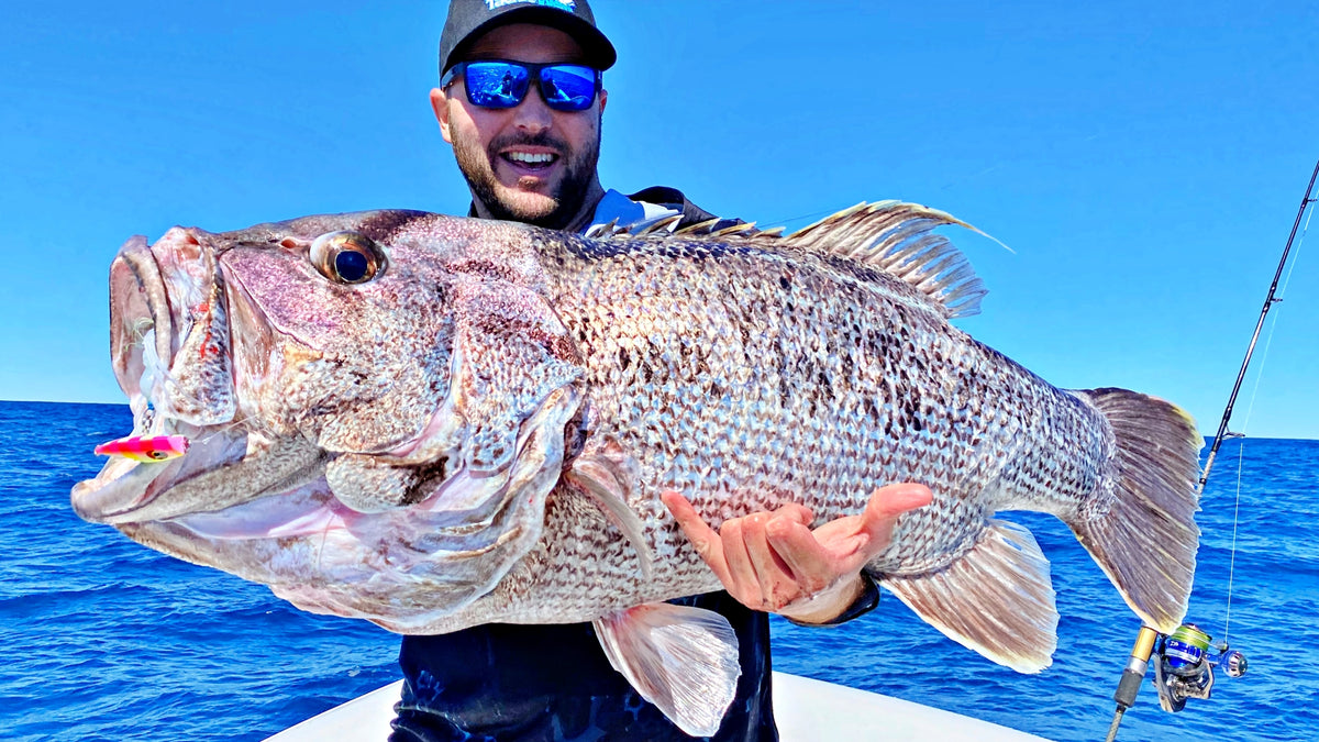 Assassin Spinmaster – TackleWest